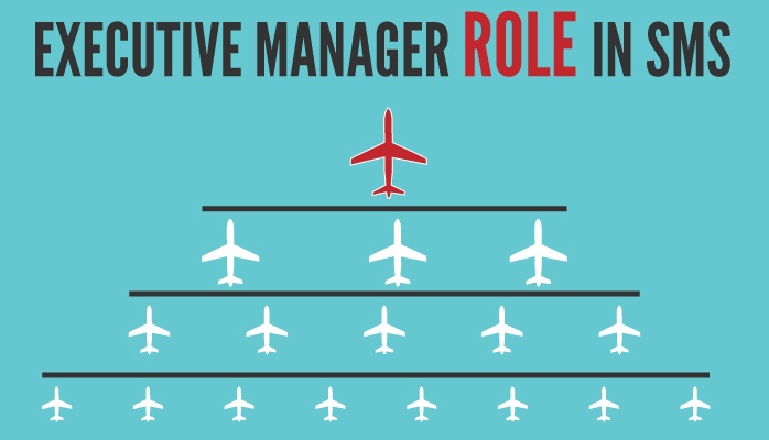 Key Points to Familiarize Executives with ICAO Annex 19, FAA, and EASA ...